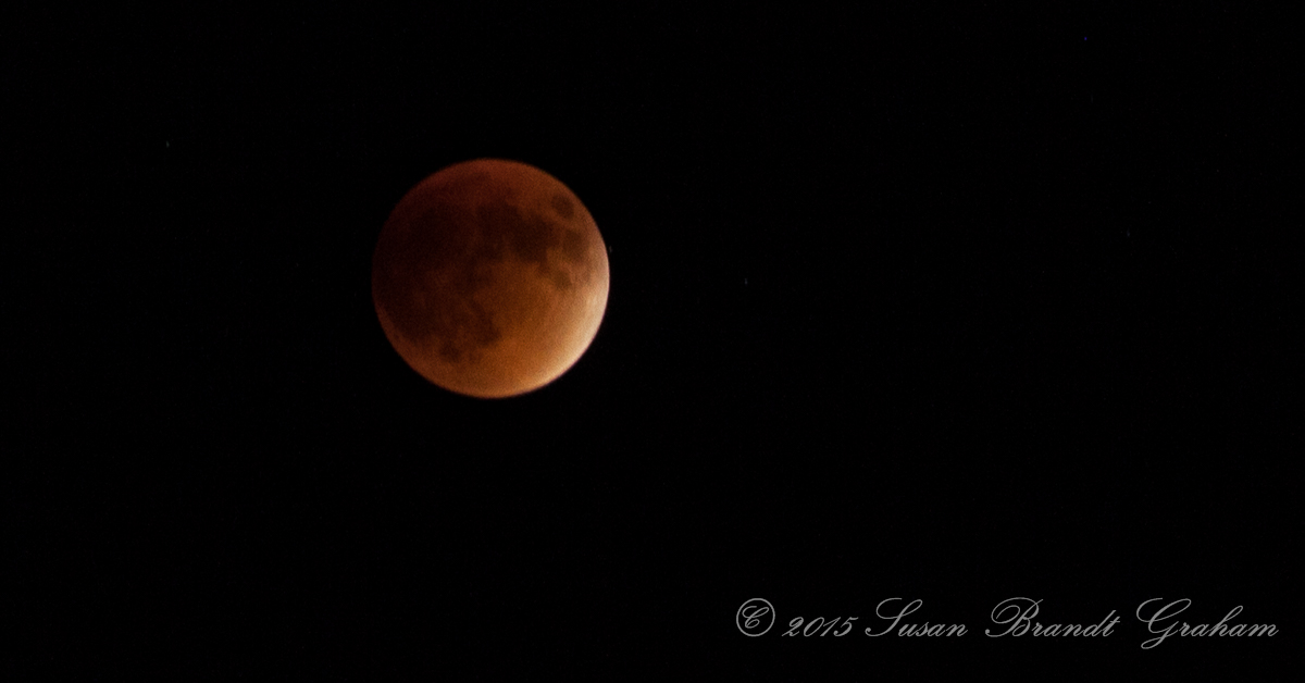 Blood Red Lunar Eclipse - Susan Brandt Graham Photography